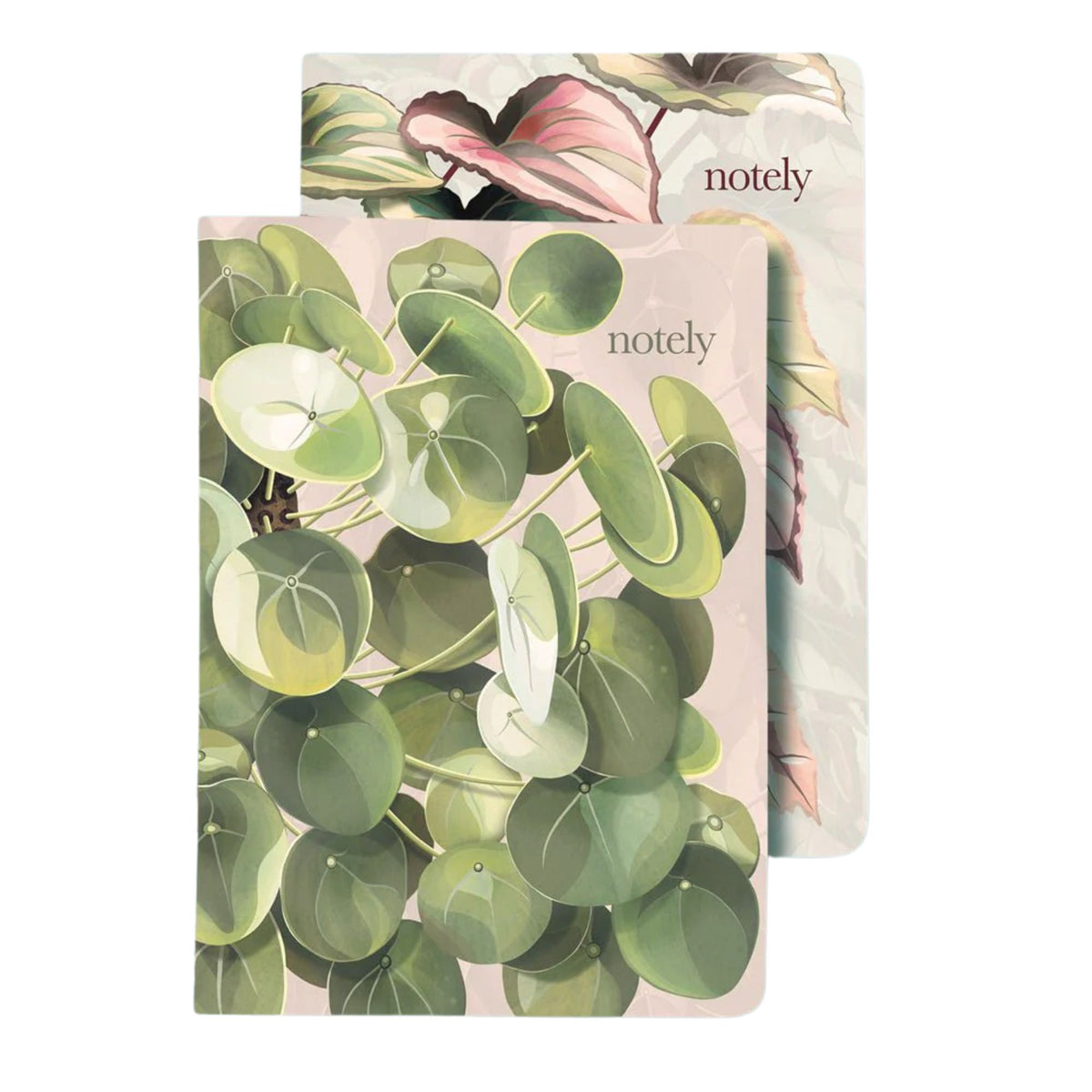 Notely - Sara Turner - A4 Notebook – The Country Providore