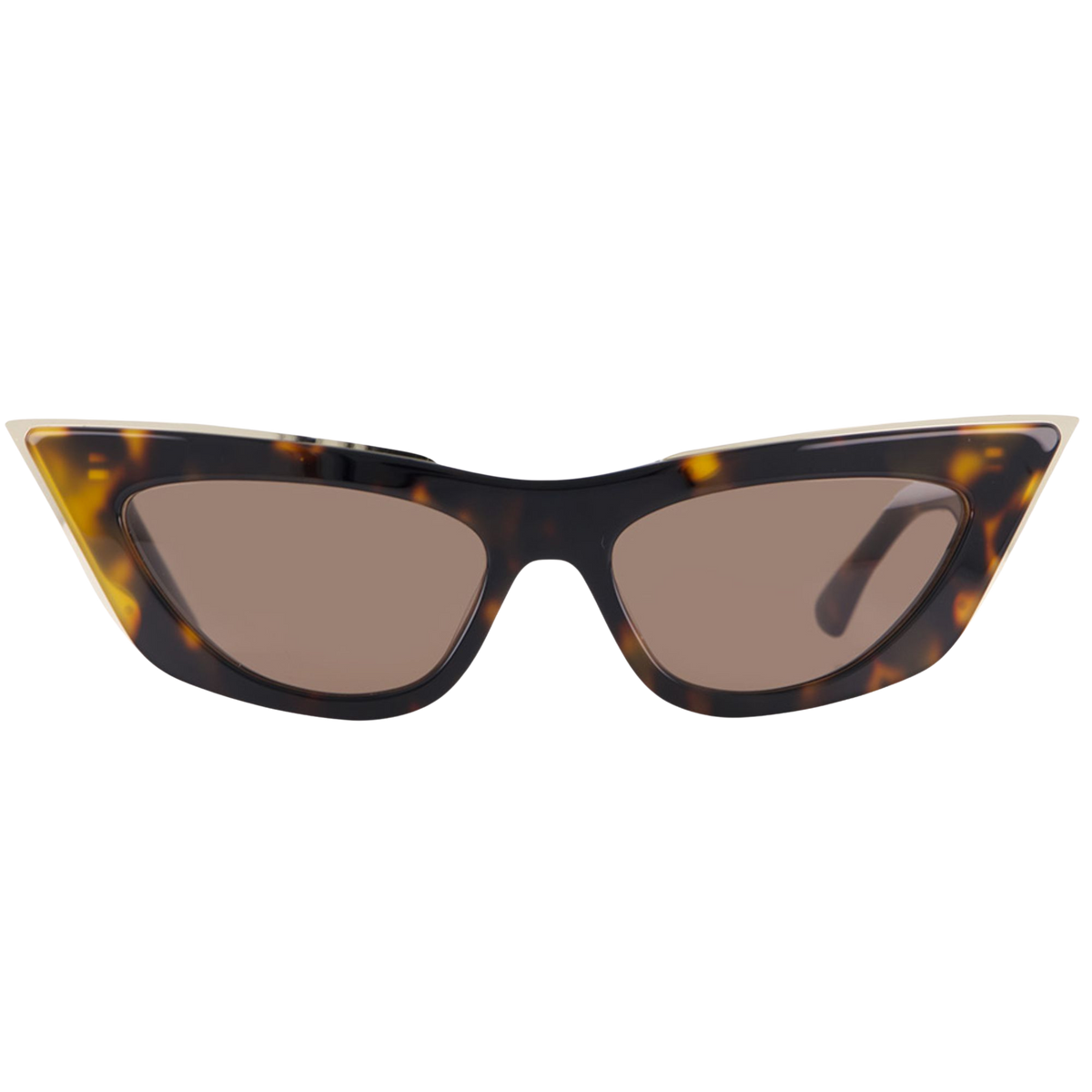 Saben - Peyton - Tortoise – The Country Providore